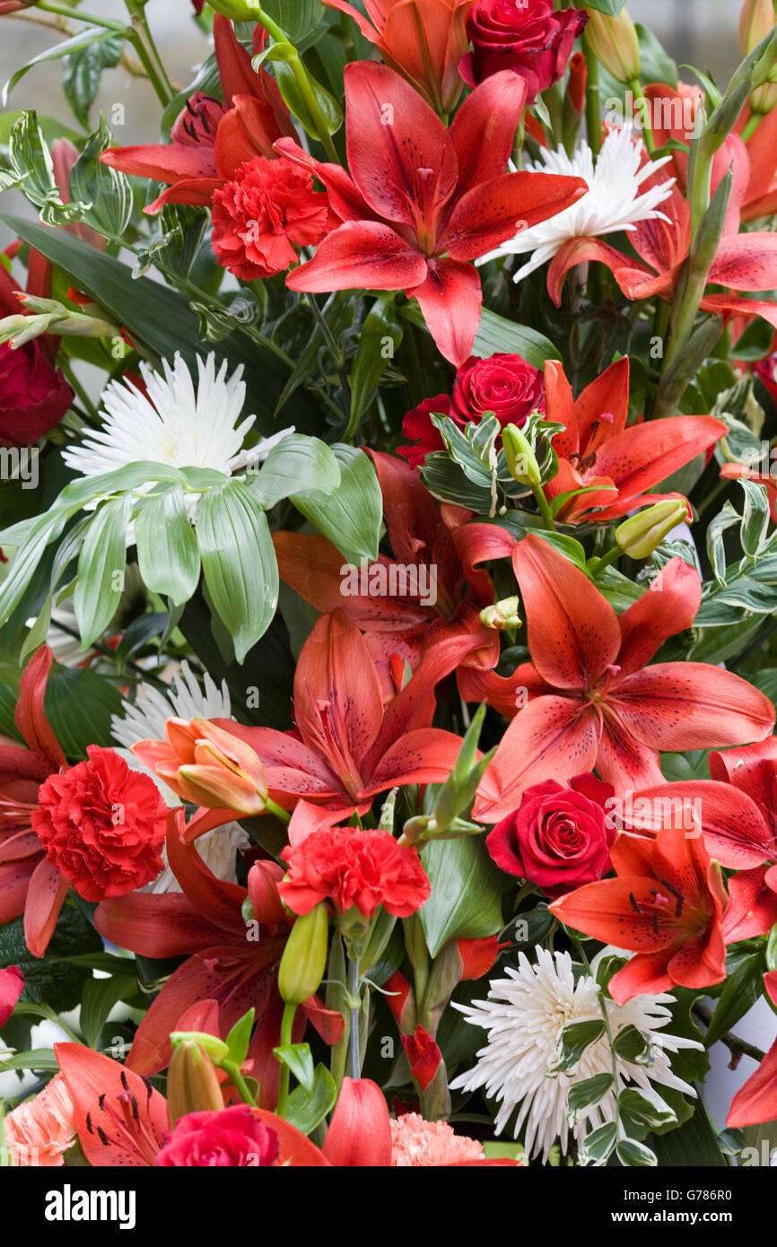 Multicolored floral display hi-res stock photography and images - Alamy