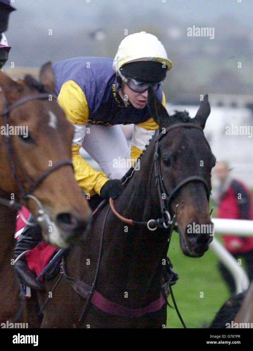 Richard Johnson - Cheltenham Racing Stock Photo - Alamy