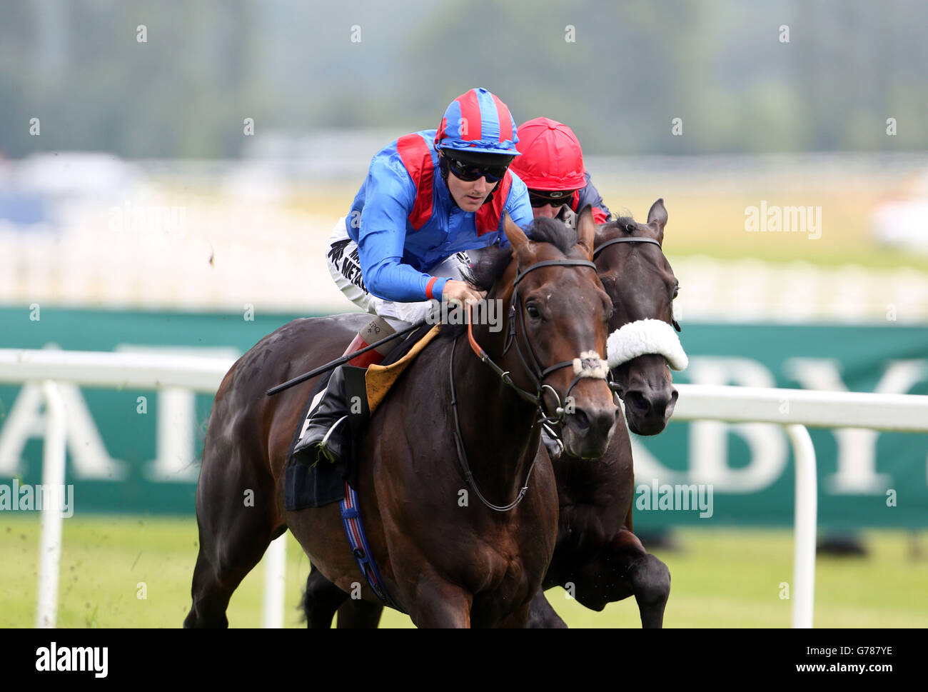 Horse Racing - Party in the Paddock - Newbury Racecourse Stock Photo ...