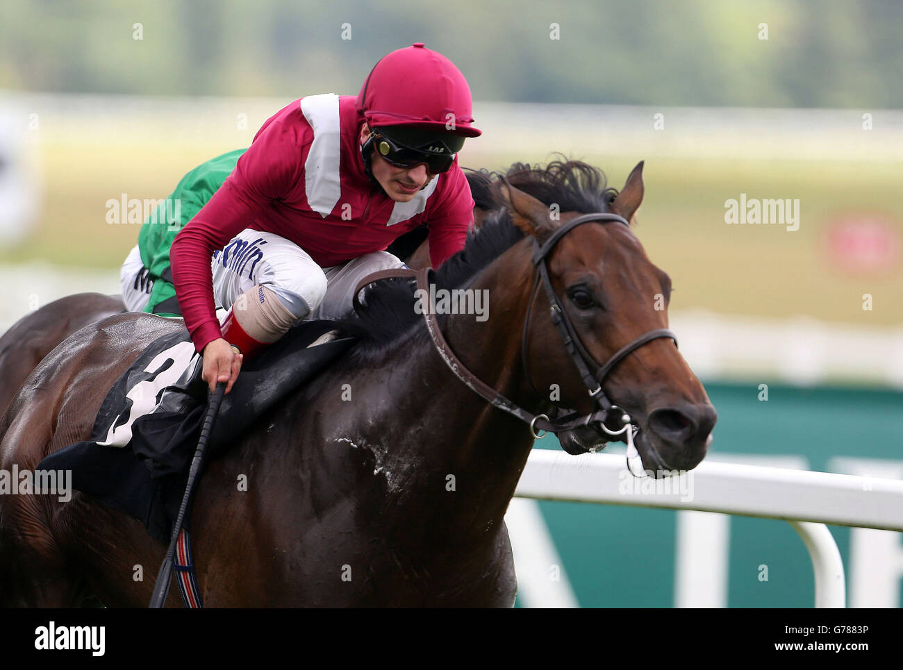 Party in the paddock hi-res stock photography and images - Alamy