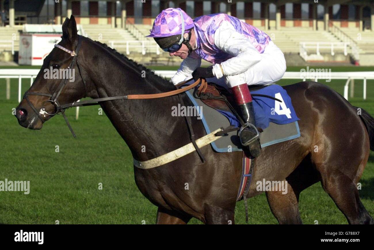 Mick FitzGerald on Iris Royal Stock Photo - Alamy