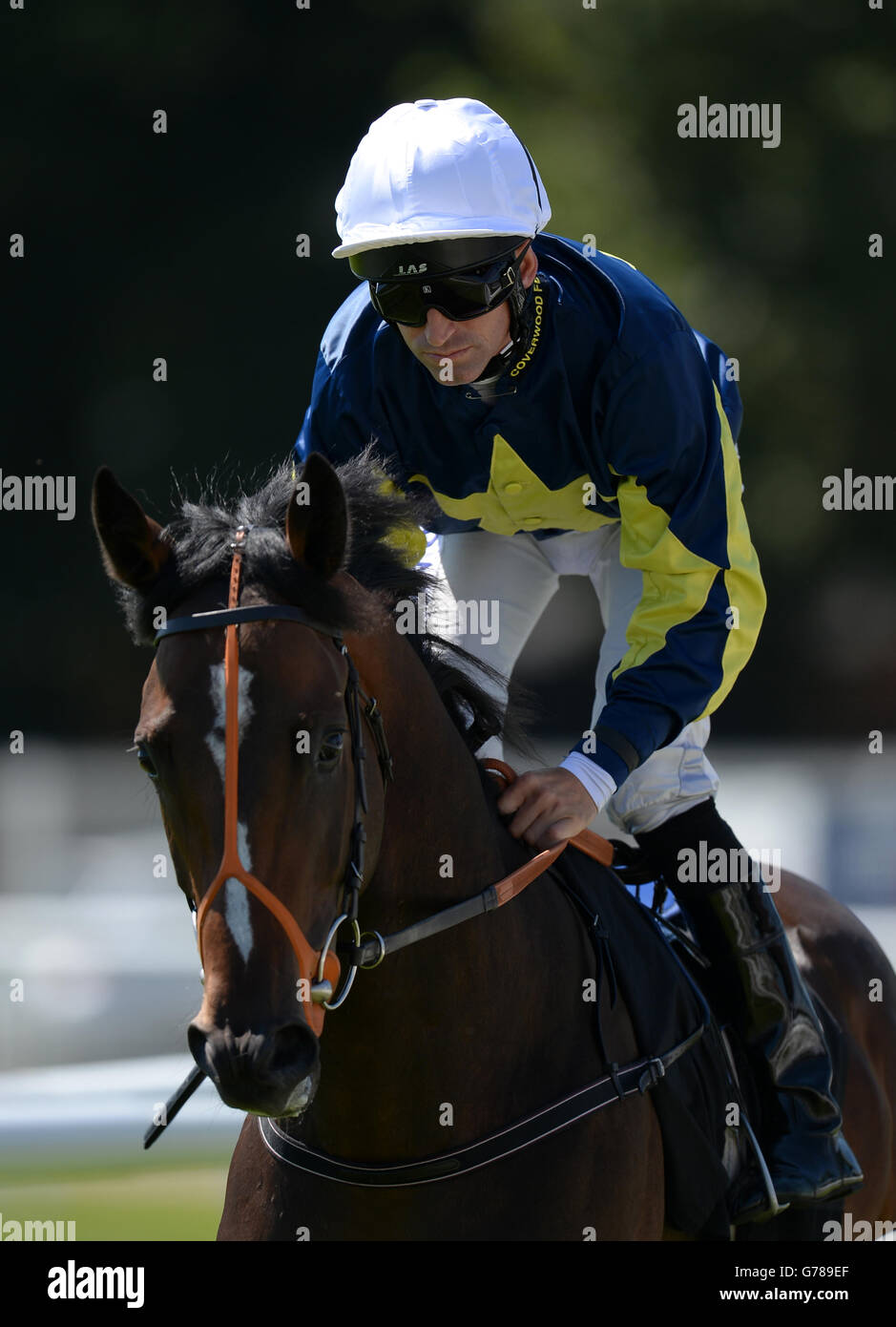 Jockey pat dobbs at newbury racecourse hi-res stock photography and ...