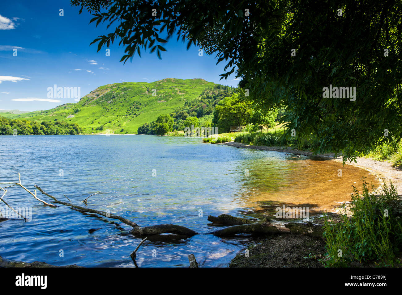 Grasmere trees lake shoreline hi-res stock photography and images - Alamy