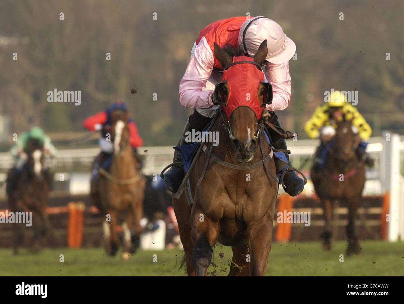 Sandown Racing - Bongo Fury Stock Photo - Alamy