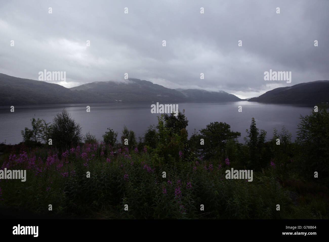 A view of loch lomond in inveruglas hi-res stock photography and images ...