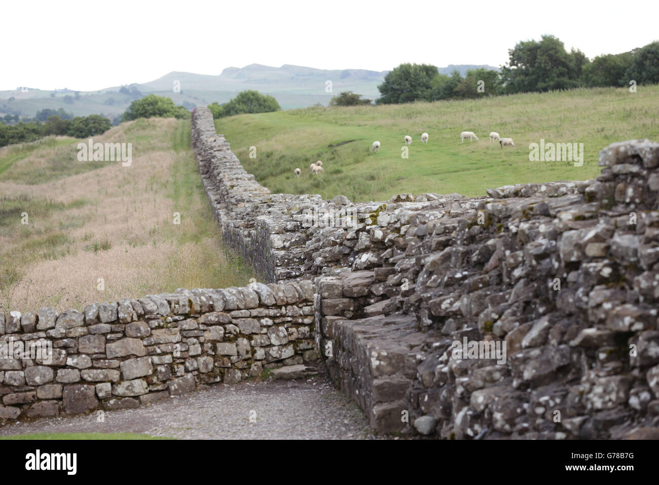 A section of Hadrian's Wall near the Birdoswald Roman Fort in Cumbria ...