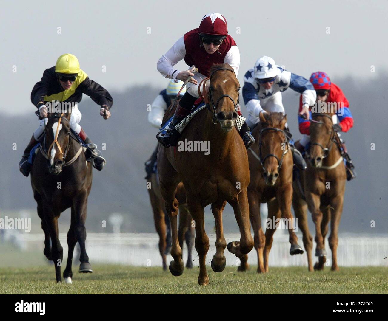 Straw Poll with jockey Steve Drowne (front) wins the 2.15 maiden stakes ...