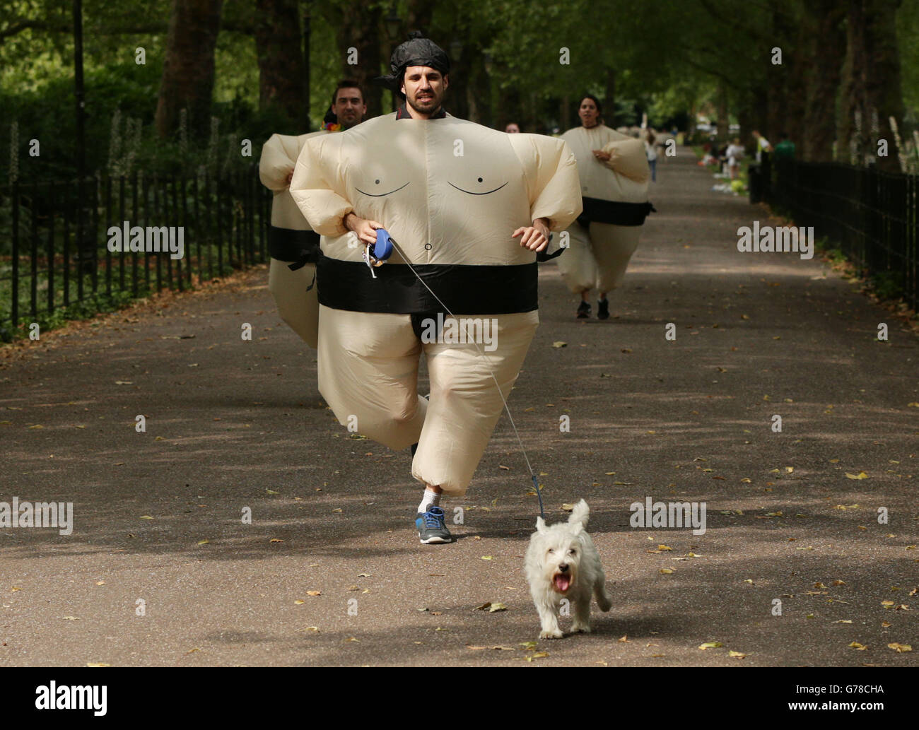 Sumo suits hi-res stock photography and images - Alamy