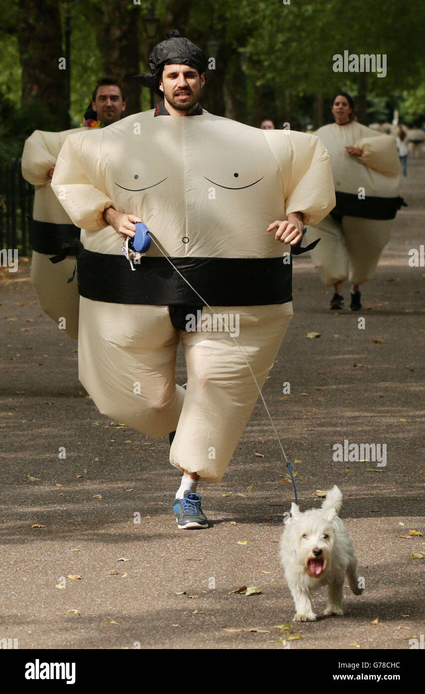 Sumo suits hi-res stock photography and images - Alamy