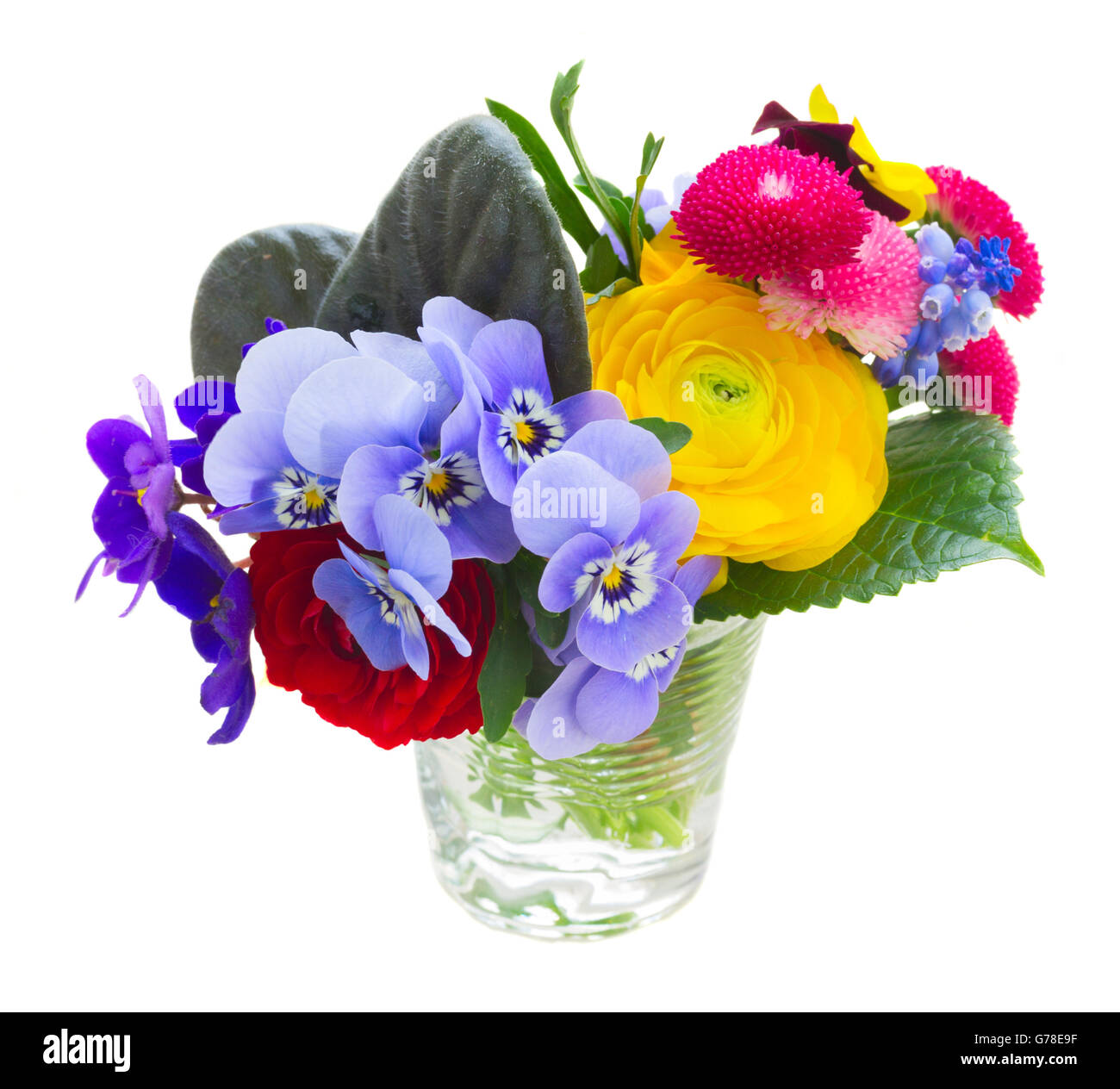Posy of violets, pansies and ranunculus Stock Photo - Alamy