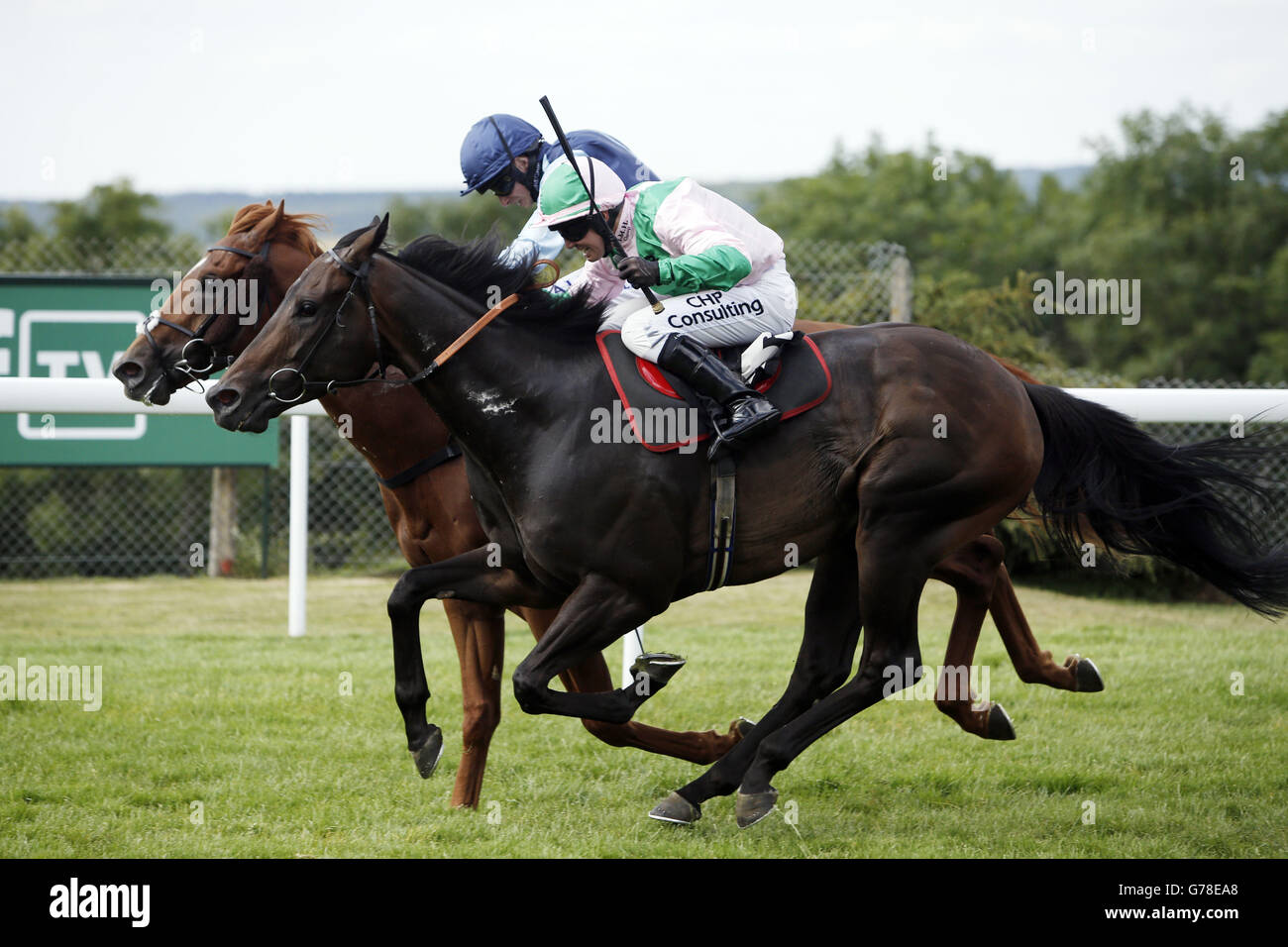 Buckstay hi-res stock photography and images - Alamy