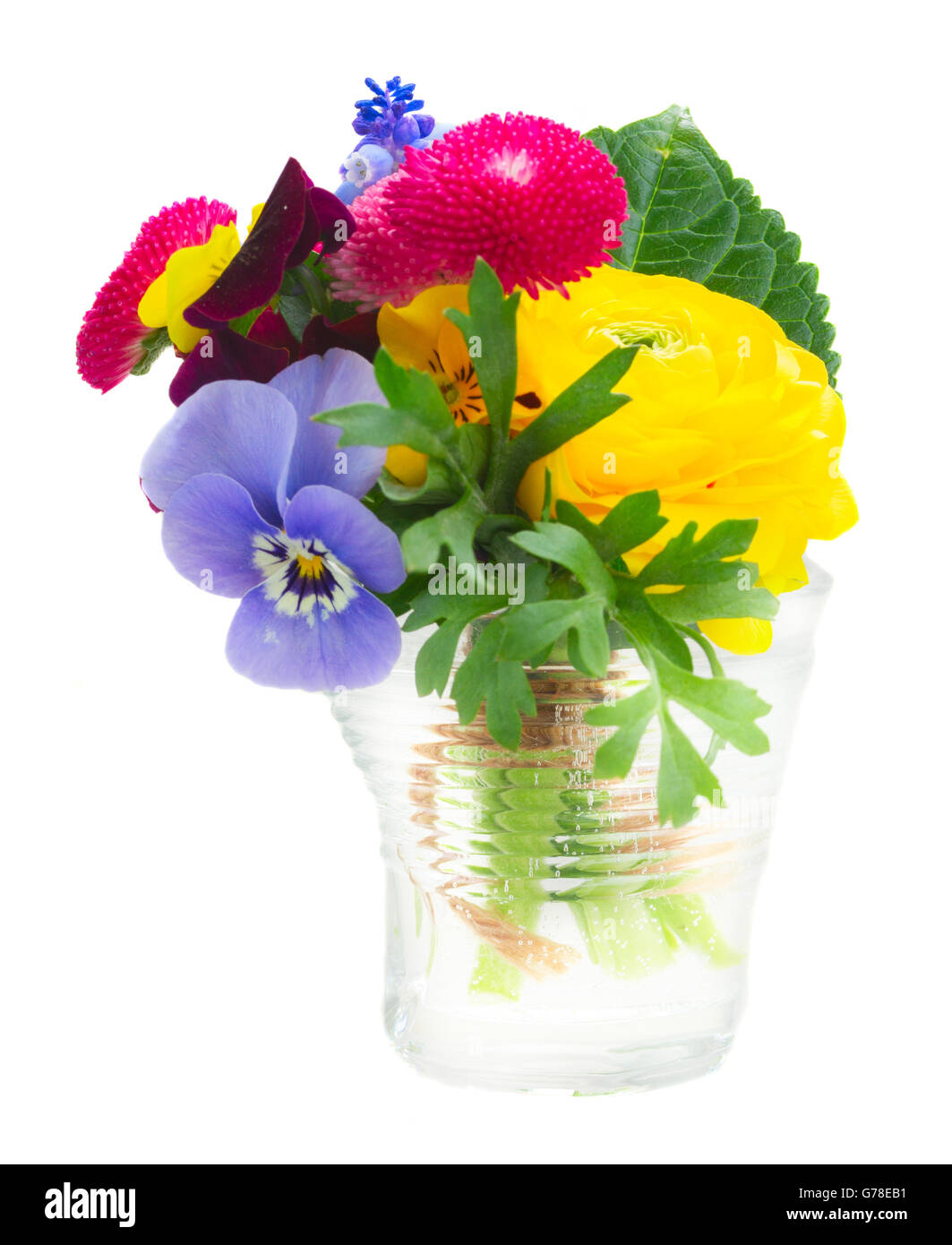 Posy of violets, pansies and ranunculus Stock Photo - Alamy