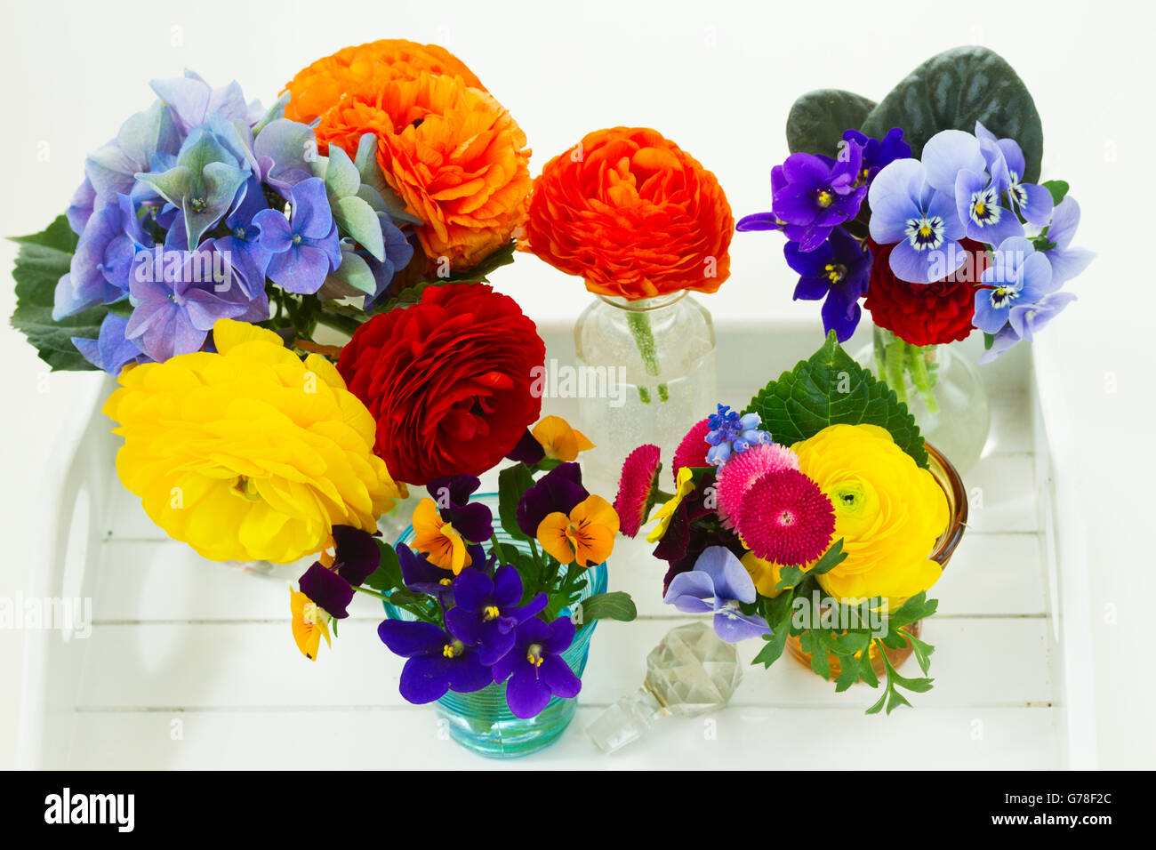 Colorful cut flowers Stock Photo - Alamy