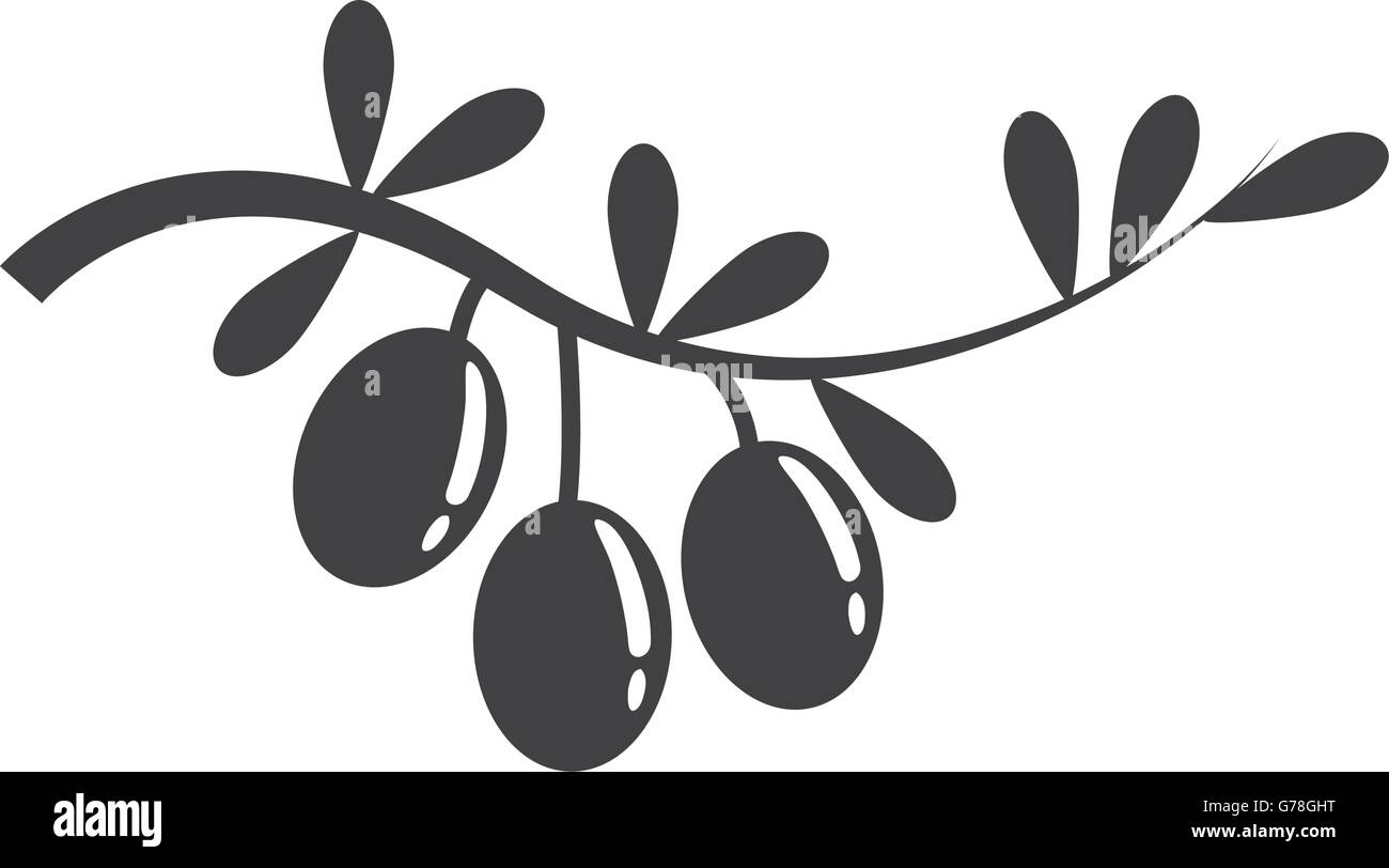 Olive plant icon. Organic and Healthy food design. Vector graphi Stock ...