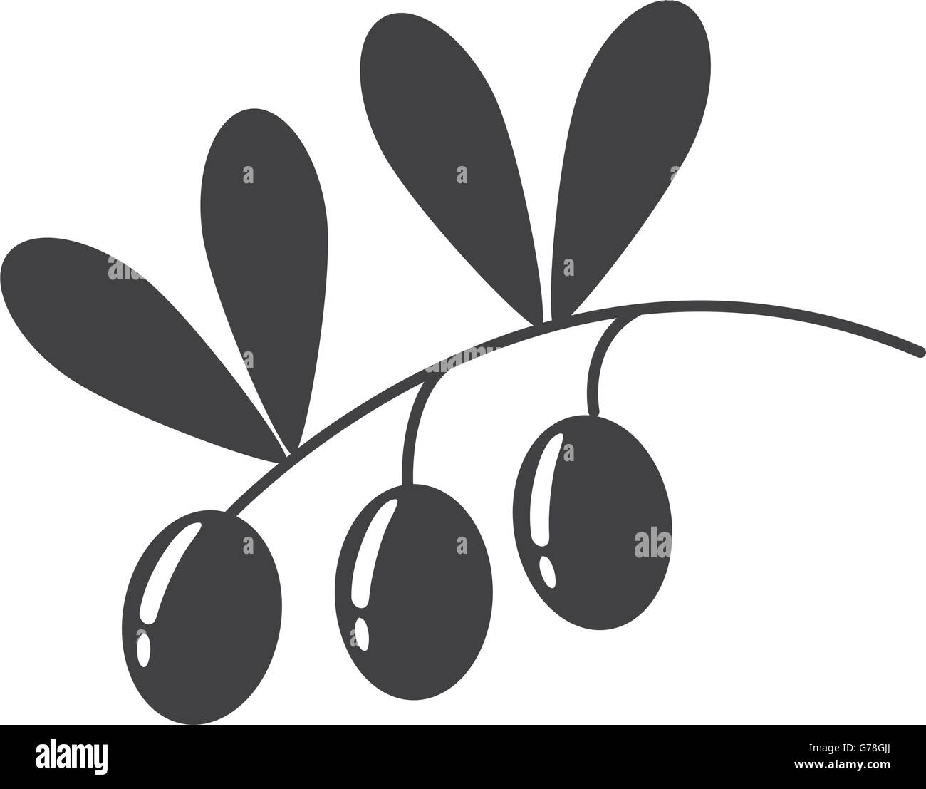 Olive plant icon. Organic and Healthy food design. Vector graphi Stock ...