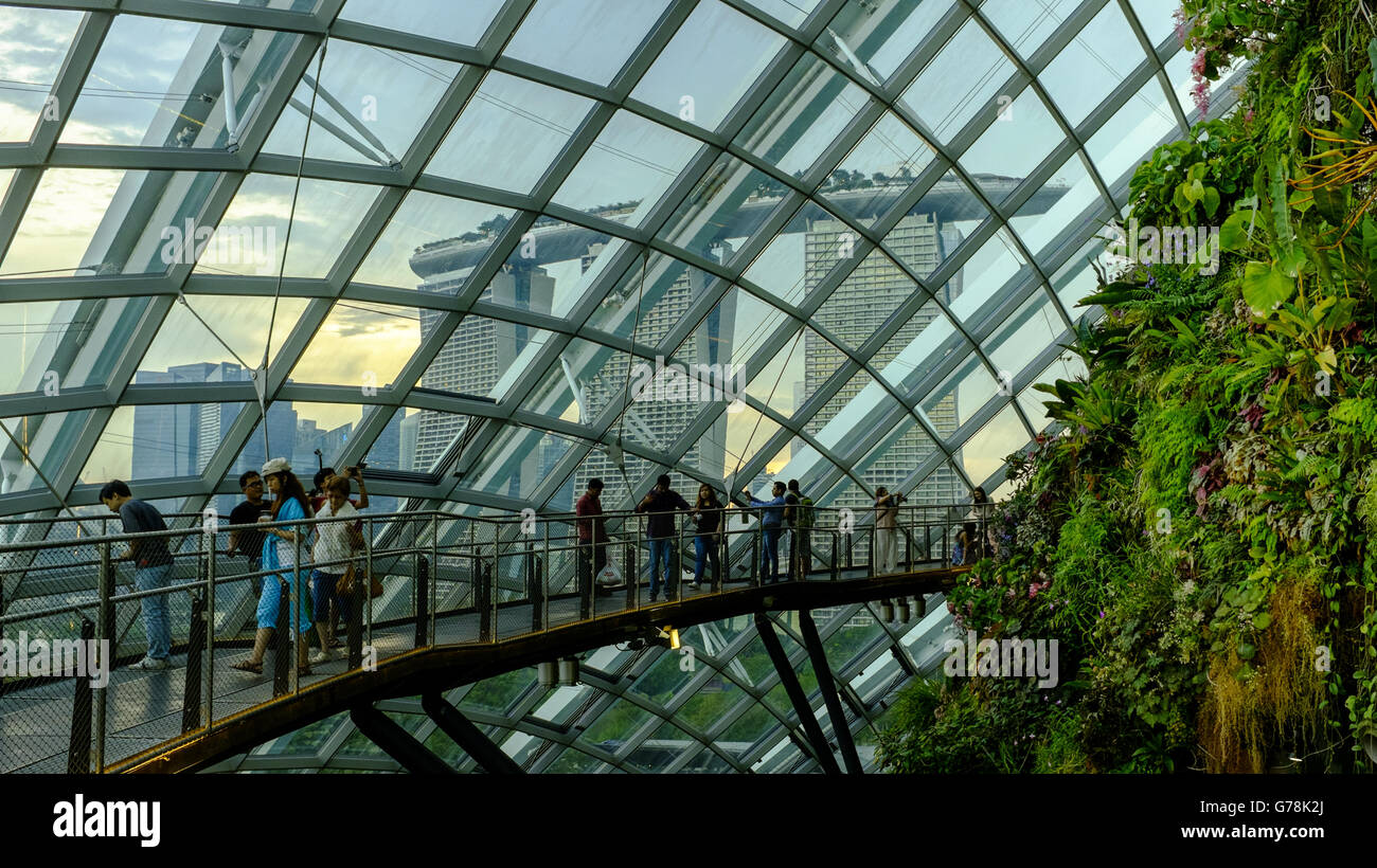 Spectacular view of the iconic Marina Bay Sands from the Cloud Dome at ...