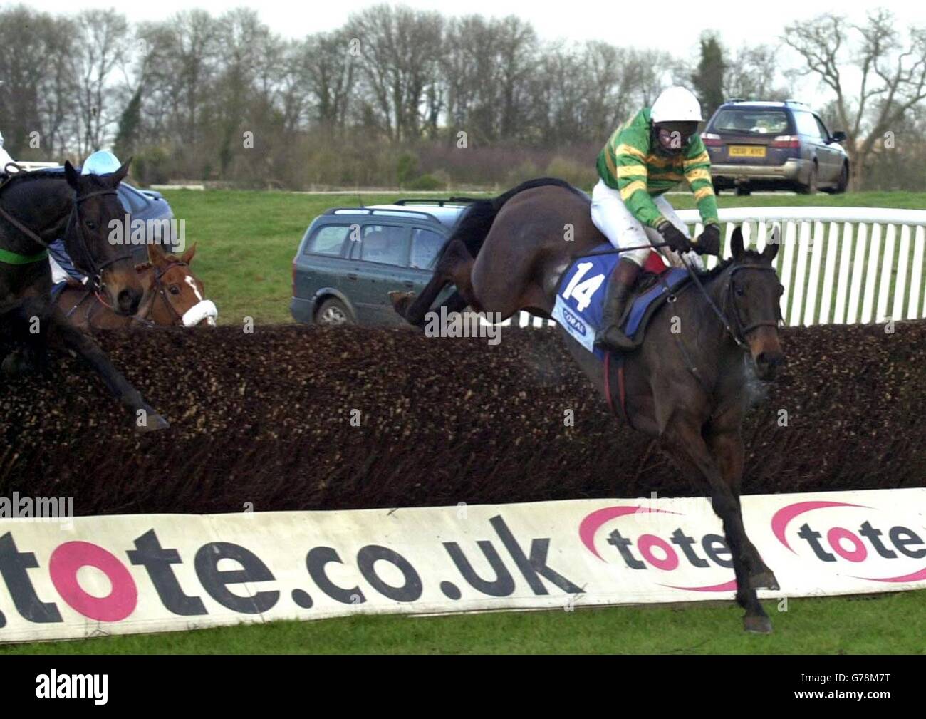 MINI SENSATION - DOBBIN Stock Photo - Alamy