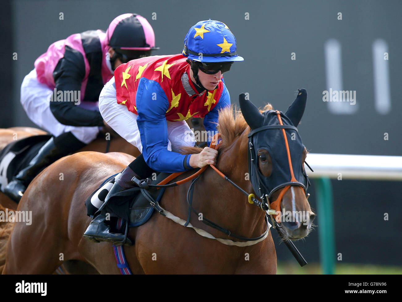 Horse Racing - Lingfield Park Racecourse Stock Photo - Alamy