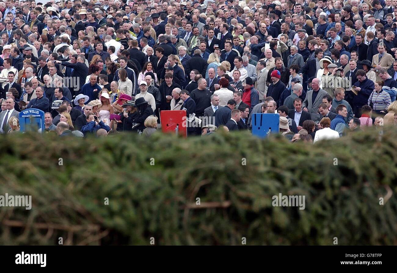 Grand National 2003.. The formidable Aintree fences wait for the ...
