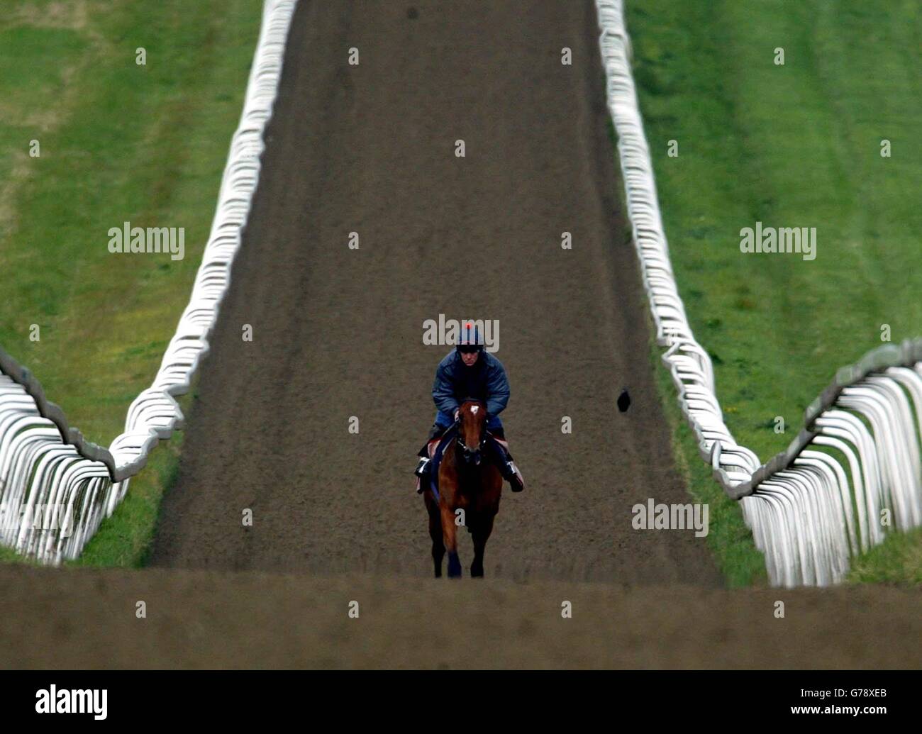 Horseracing with train hi-res stock photography and images - Alamy