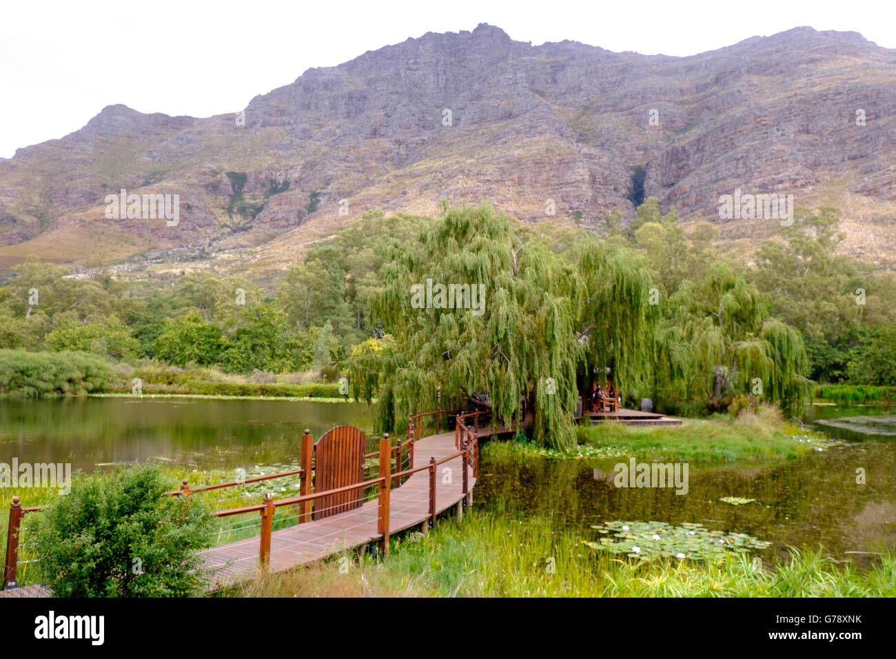 Stark-Conde winery in Jonkershoek Valley, Stellenbosch, South Africa ...