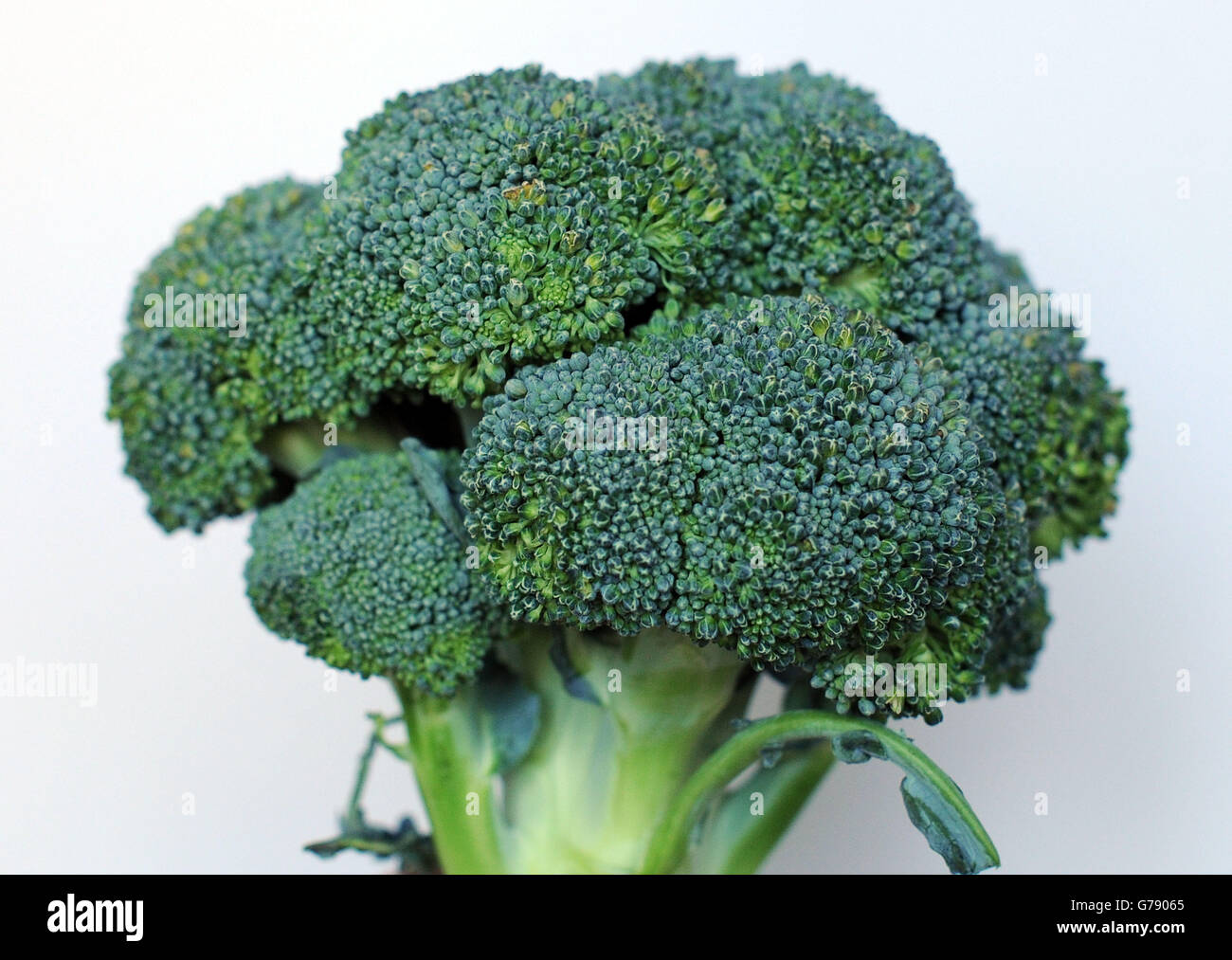 Vegetable - stock Stock Photo - Alamy