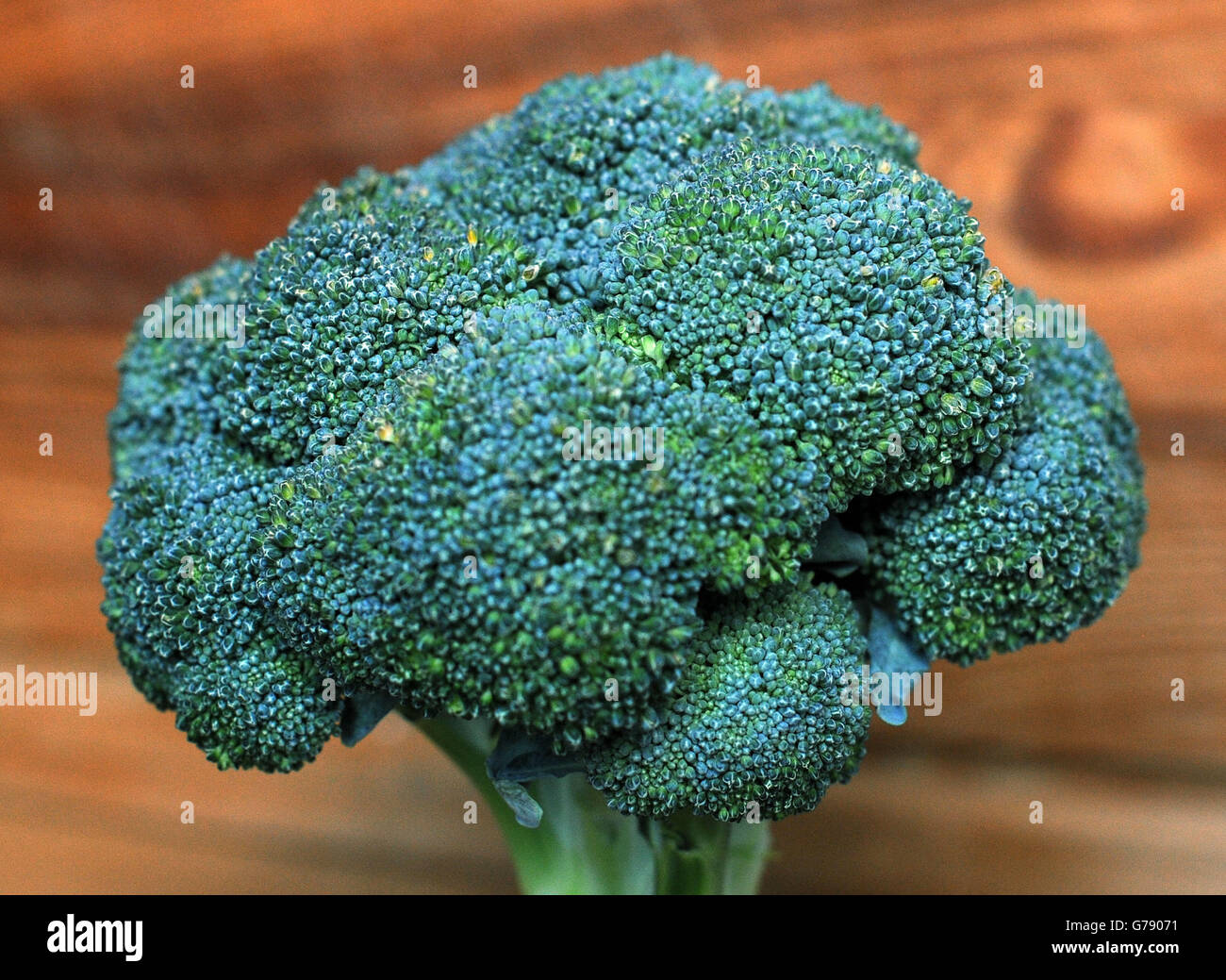 Vegetable - stock Stock Photo - Alamy