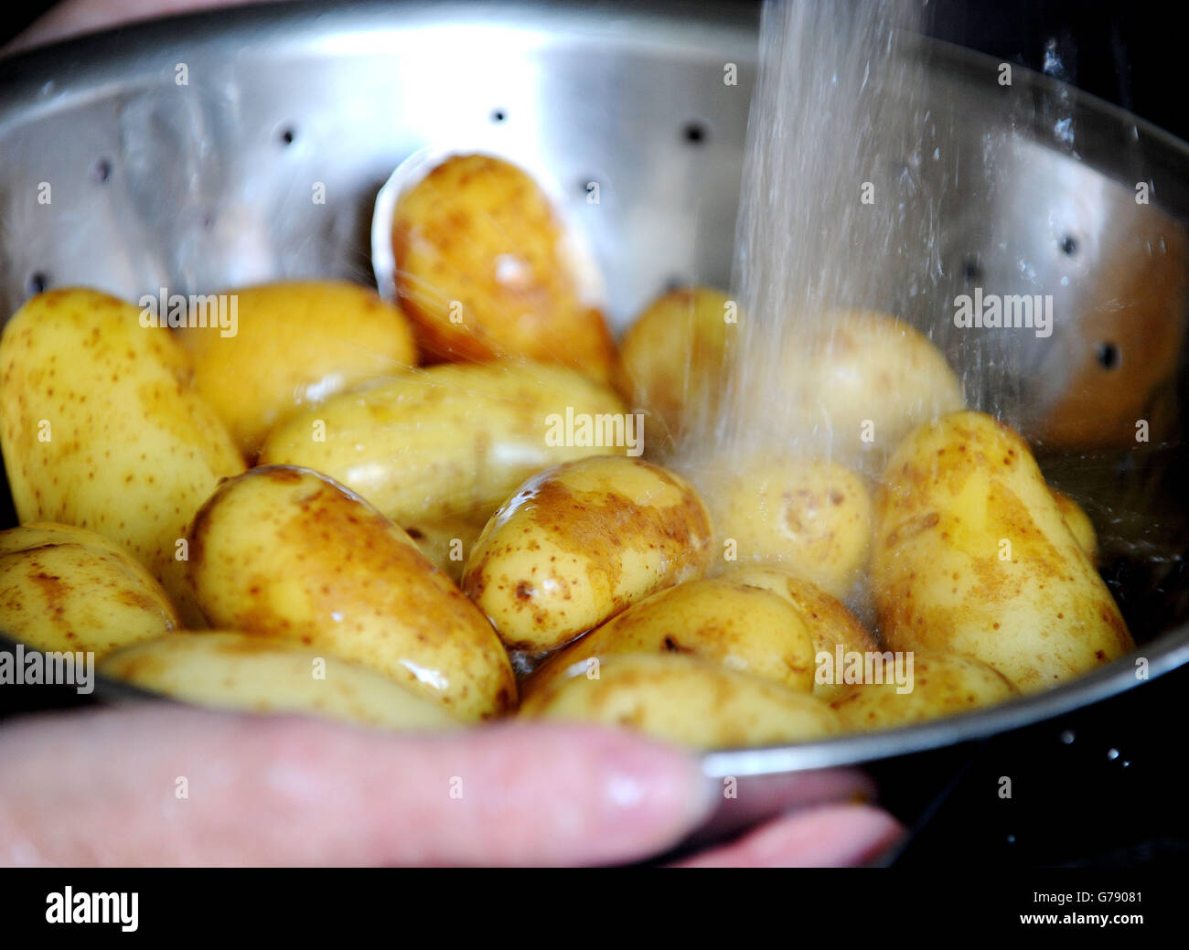 Vegetable stock photo of baby new potatoes being washed in a colander ...