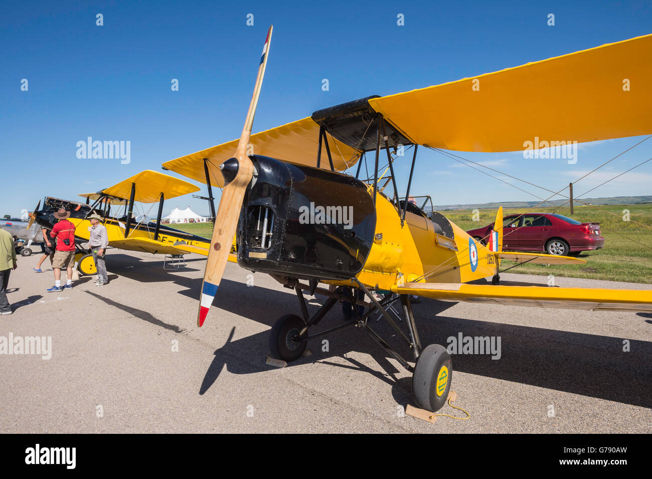 de Havilland DH.82 Tiger Moth, Wings over Springbank, Springbank ...