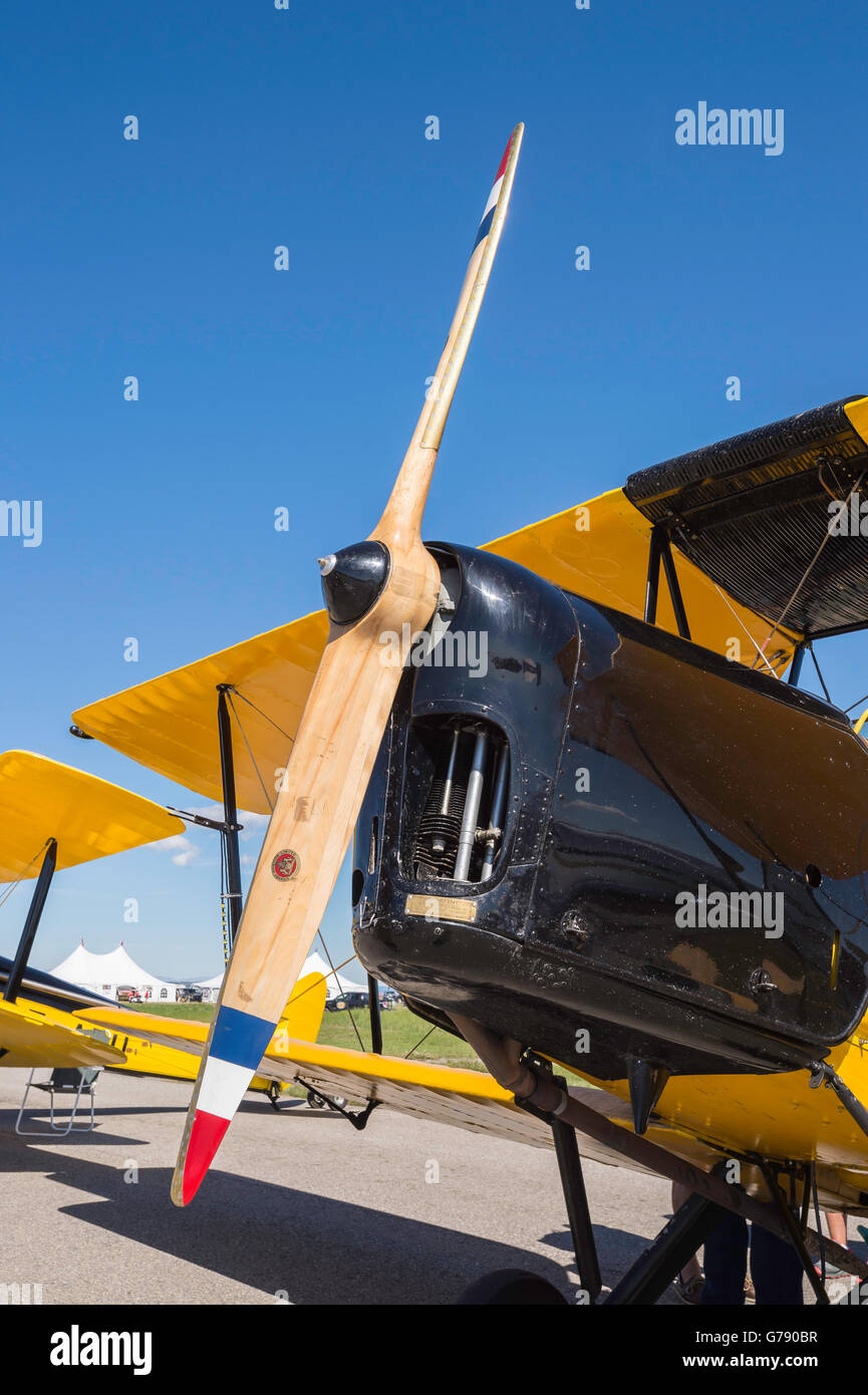 de Havilland DH.82 Tiger Moth, Wings over Springbank, Springbank ...
