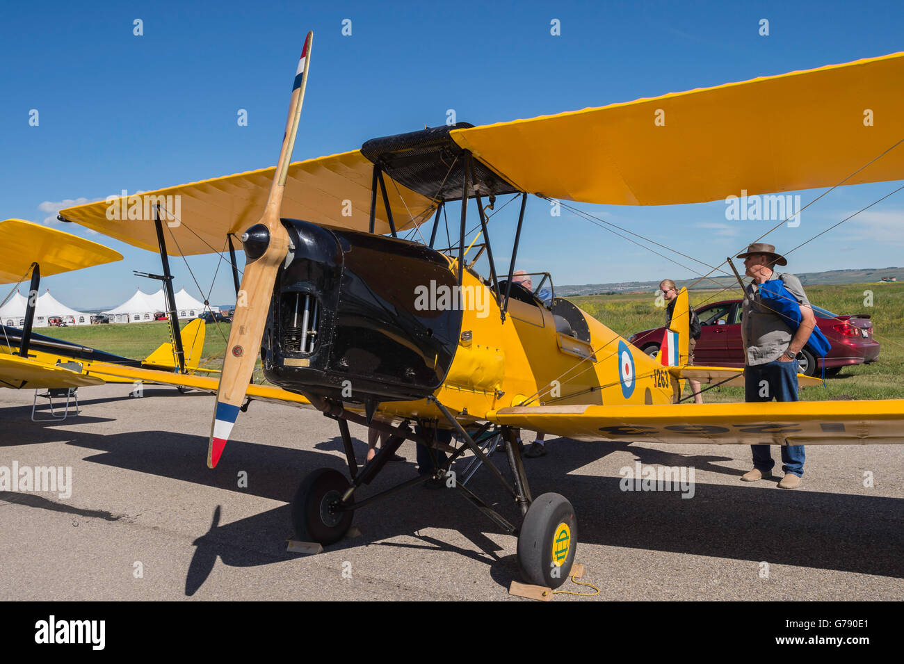 de Havilland DH.82 Tiger Moth, Wings over Springbank, Springbank ...