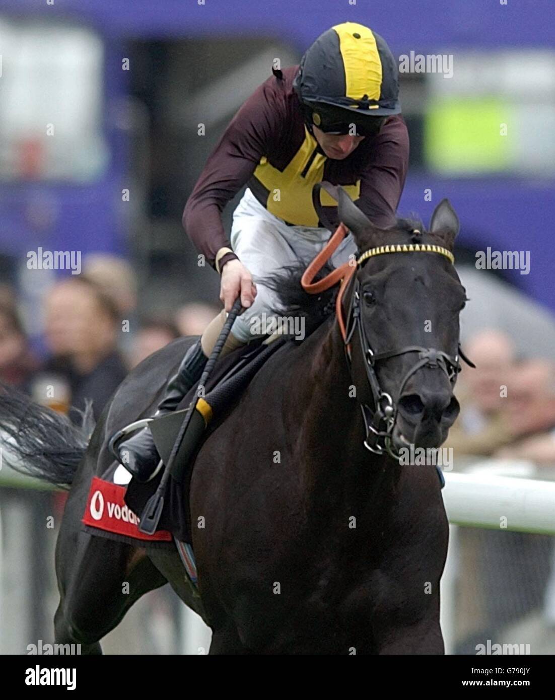 Passing glance epsom races hi-res stock photography and images - Alamy