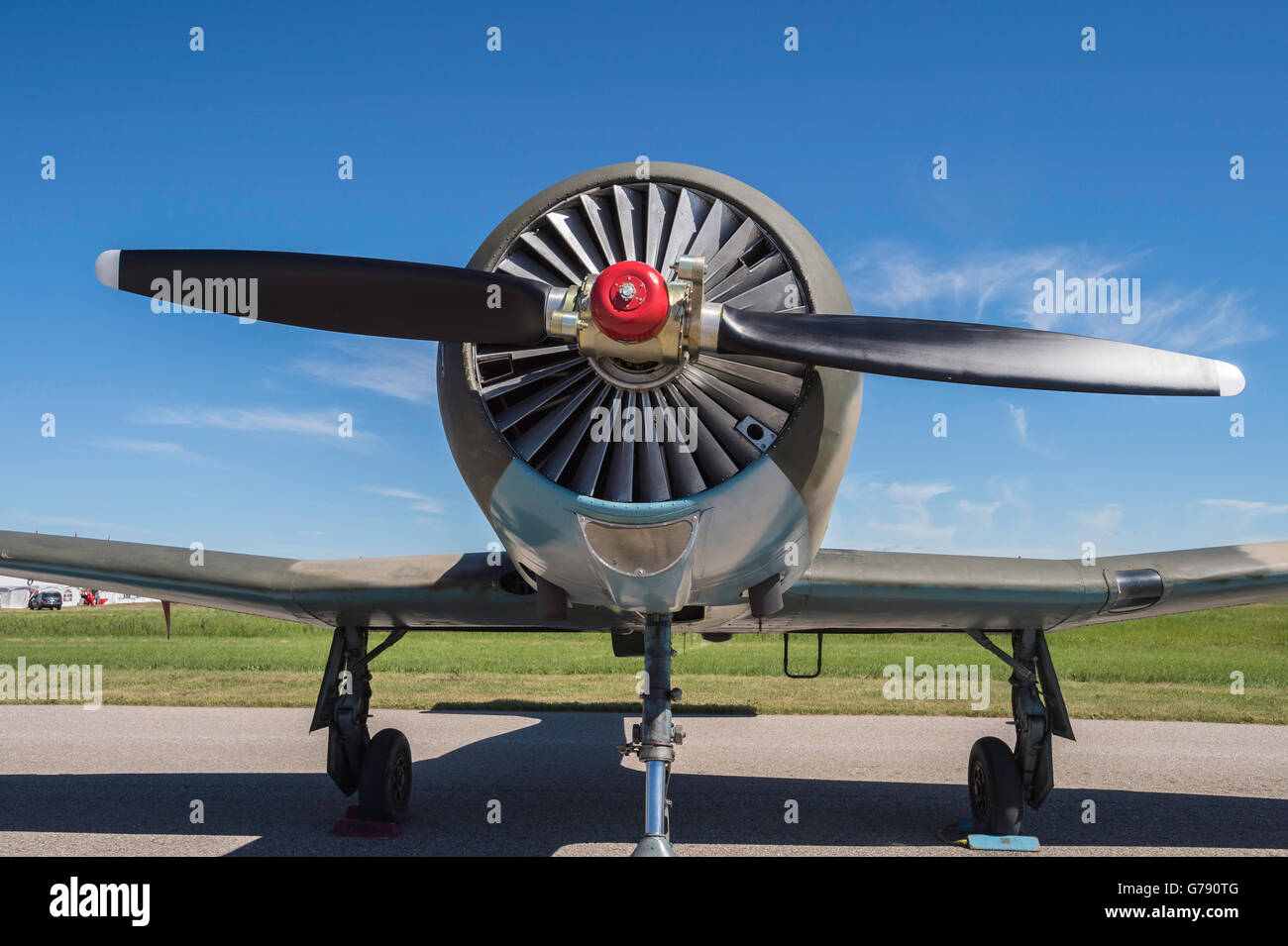 Russian Yak, Wings over Springbank, Springbank Airshow, Alberta, Canada ...