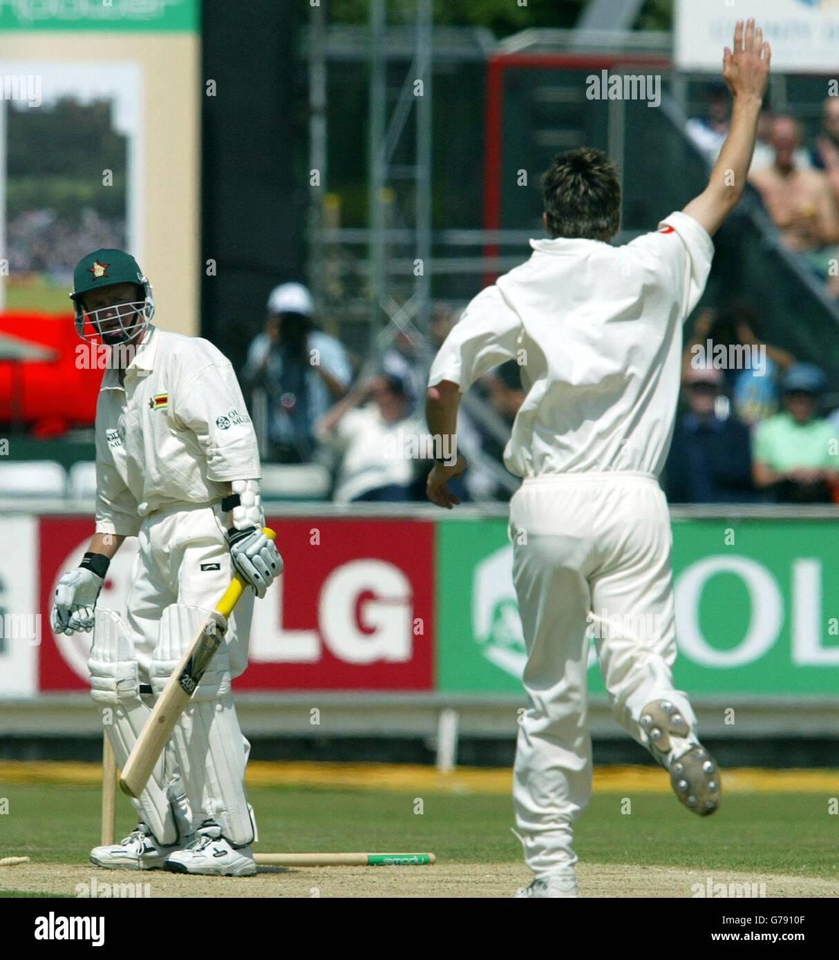 Zimbabwes grant flower hi-res stock photography and images - Alamy