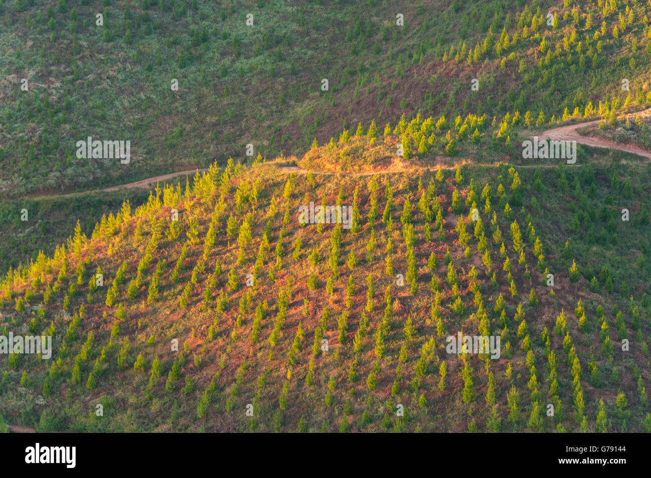 High density farming hi-res stock photography and images - Alamy