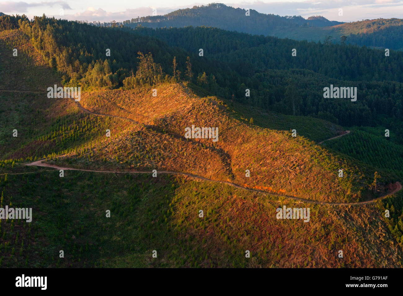 High density farming hi-res stock photography and images - Alamy