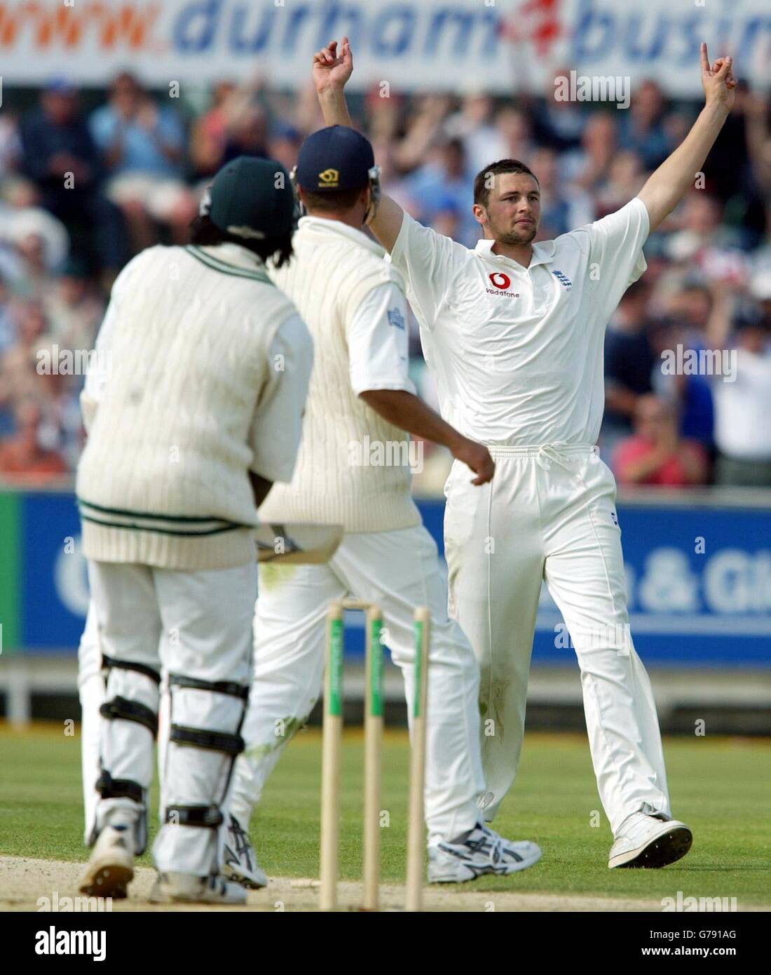 Cricket action celebrating steve harmison hi-res stock photography and ...