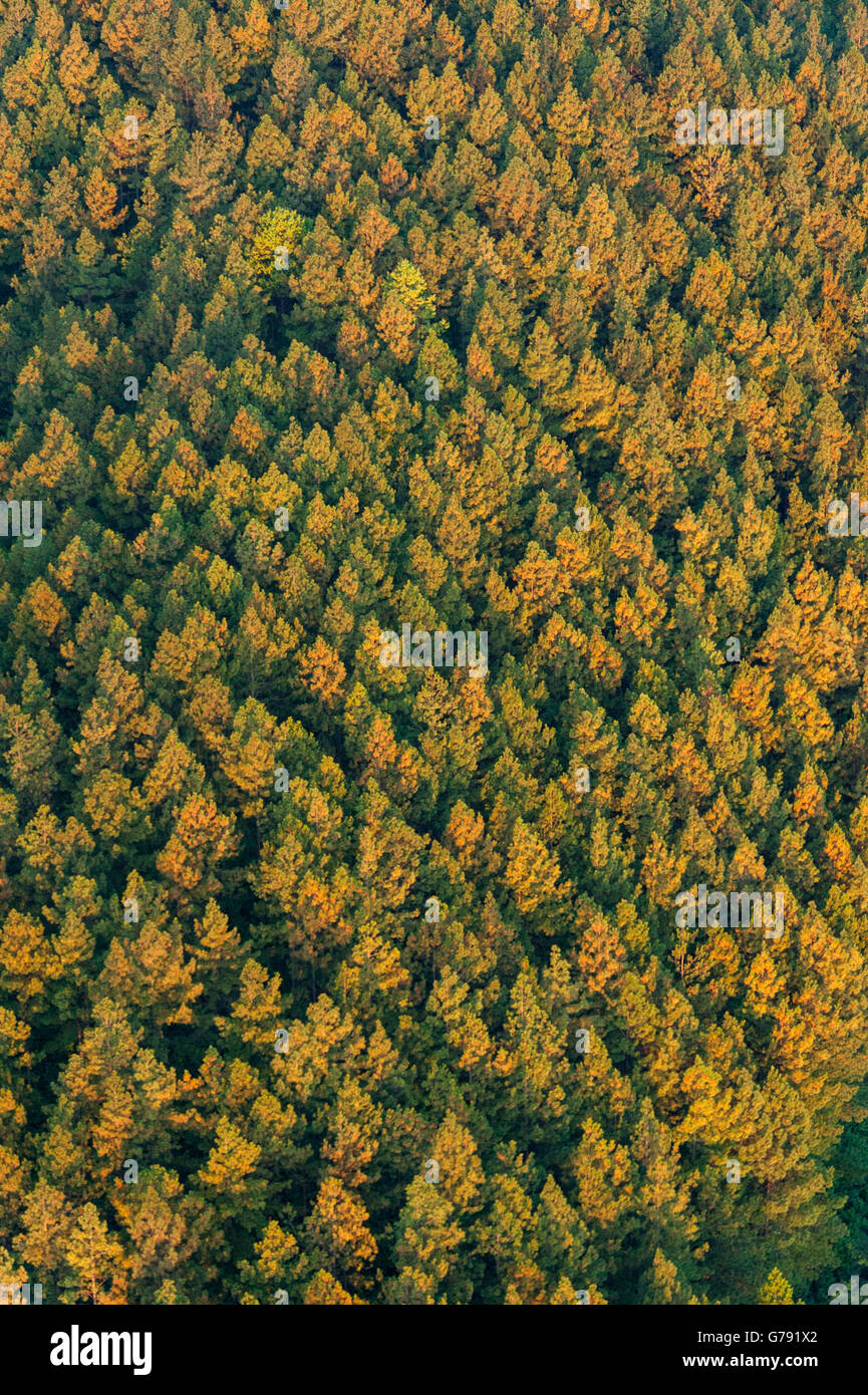 High density farming hi-res stock photography and images - Alamy