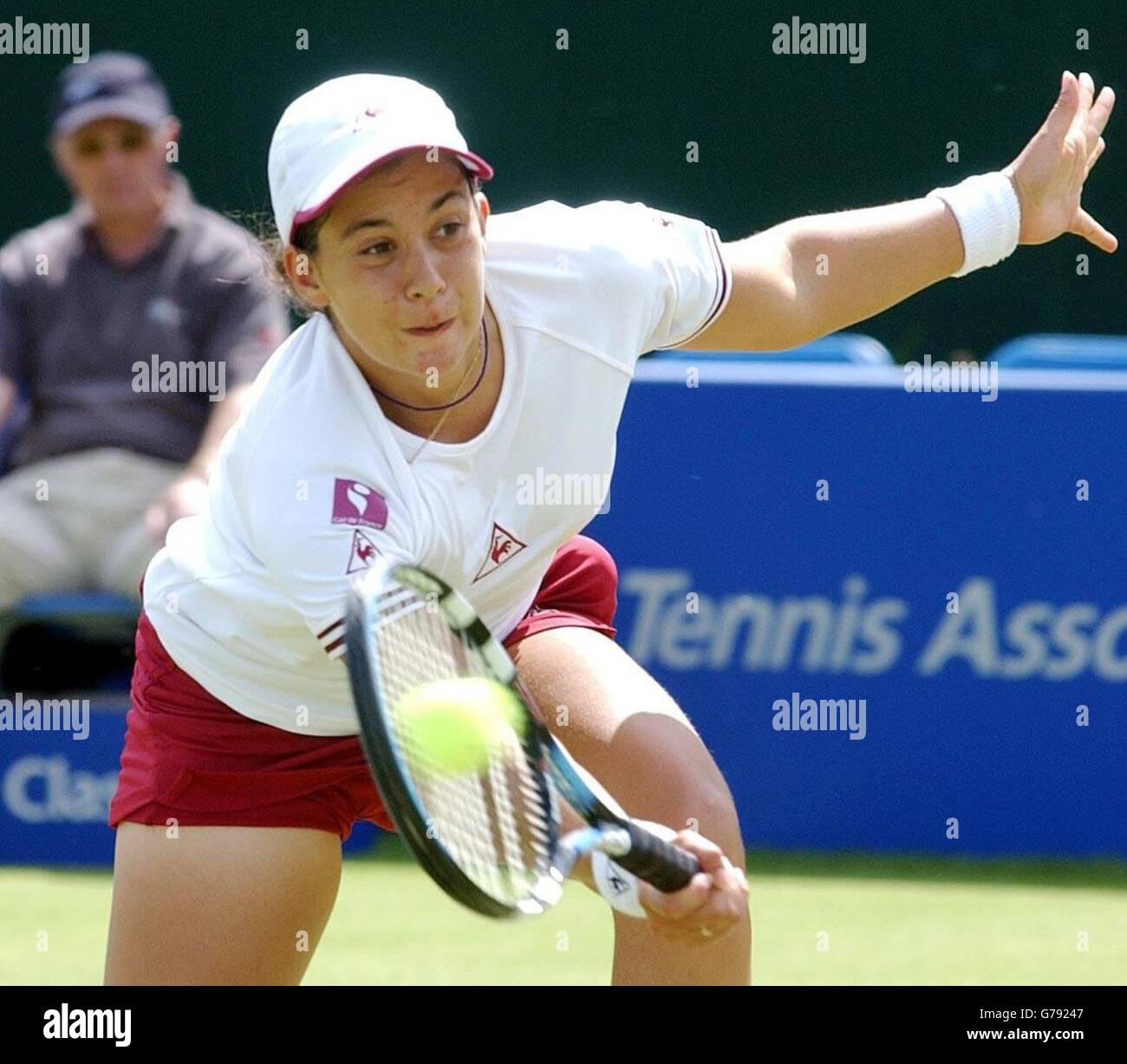 Marion Bartoli High Resolution Stock Photography and Images - Alamy