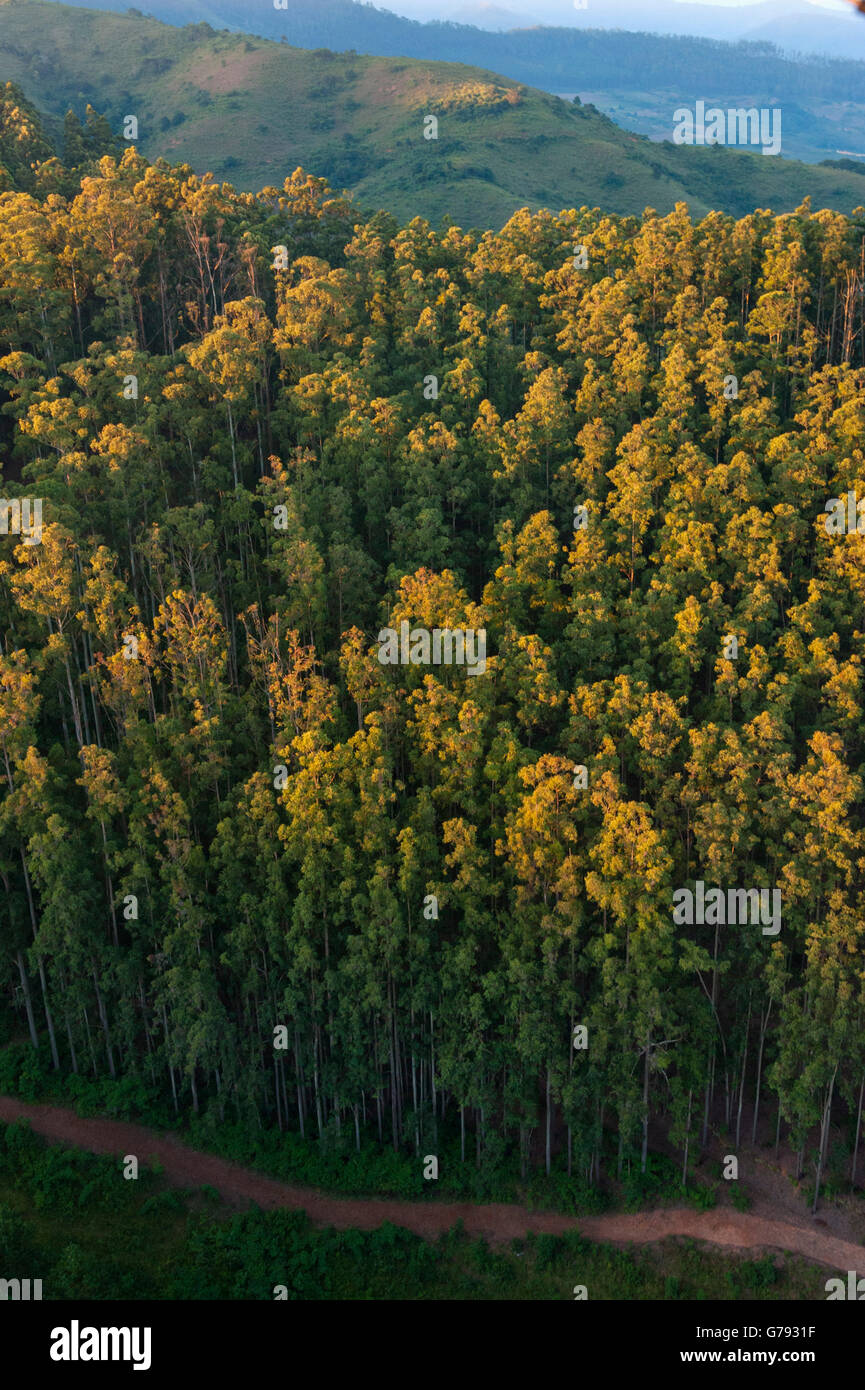 High density farming hi-res stock photography and images - Alamy