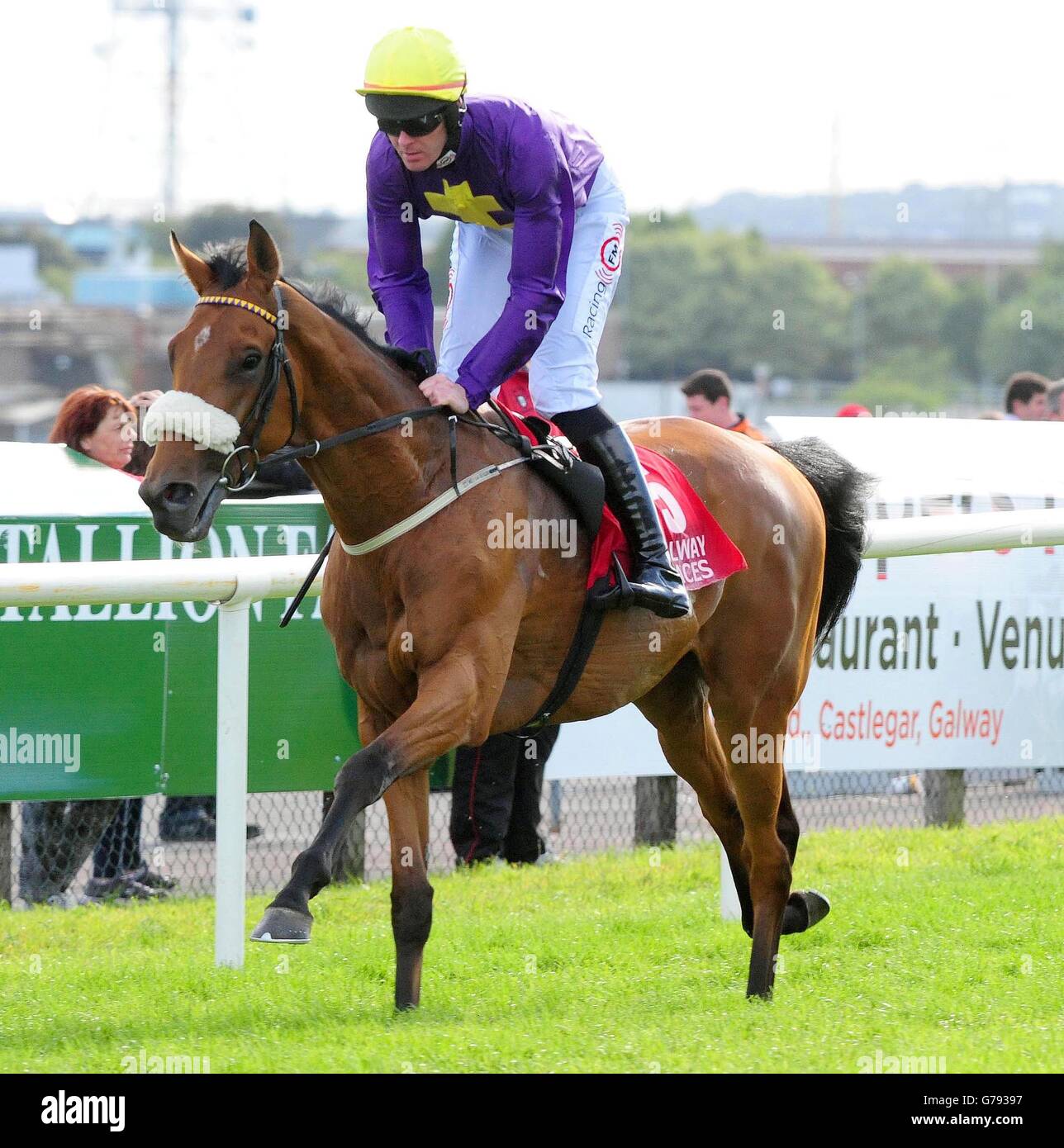Windsor Park and jockey Robbie McNamara win the concluding Fr. Breen ...