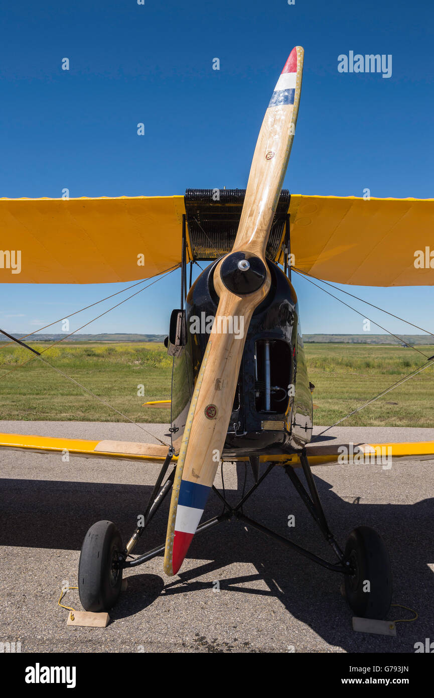 de Havilland DH.82 Tiger Moth, Wings over Springbank, Springbank ...