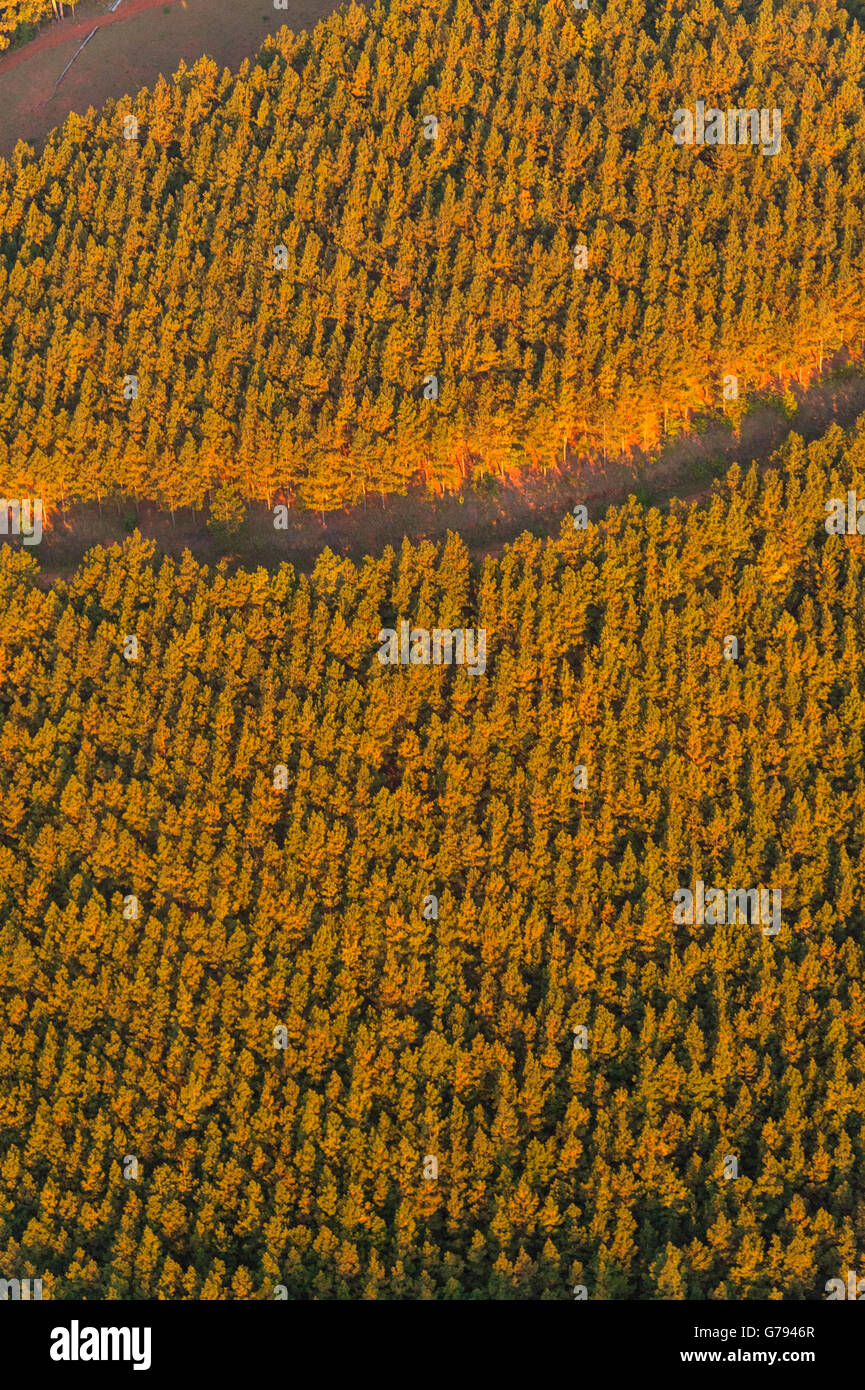 High density farming hi-res stock photography and images - Alamy