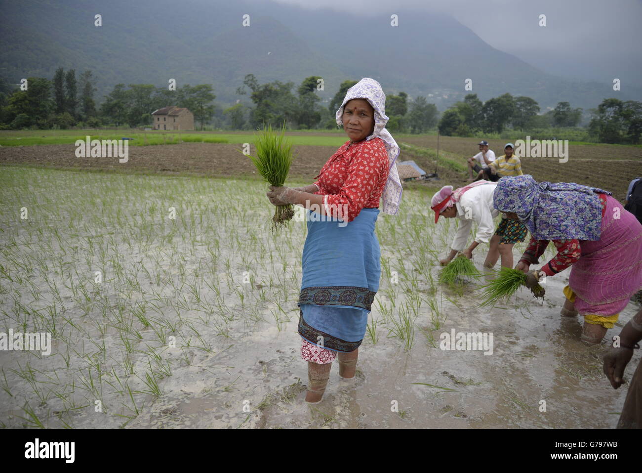 Kathmandu, Nepal. 25th June, 2016. As the monsoon season begins ...