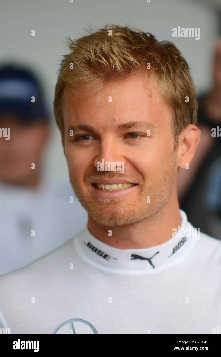 Nico Rosberg at Goodwood Festival of Speed. F1 racing driver Stock ...