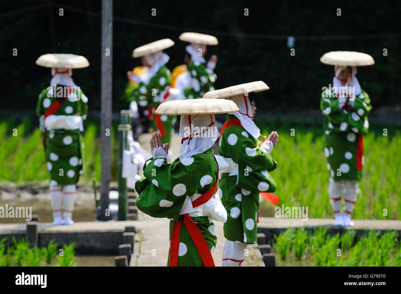Rice planters hi-res stock photography and images - Alamy