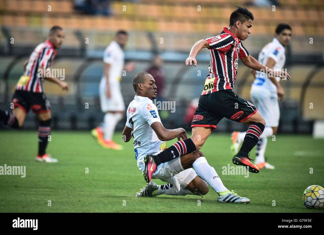 Sao paulo SP - 06/26/2016. Santos x S?o Paulo. Luiz Felipe Santos in game held at Pacaembu in ...