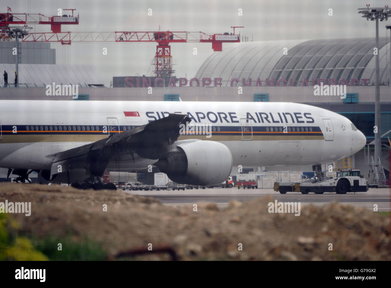 Singapore. 27th June, 2016. Photo taken on June 27, 2016 shows ...