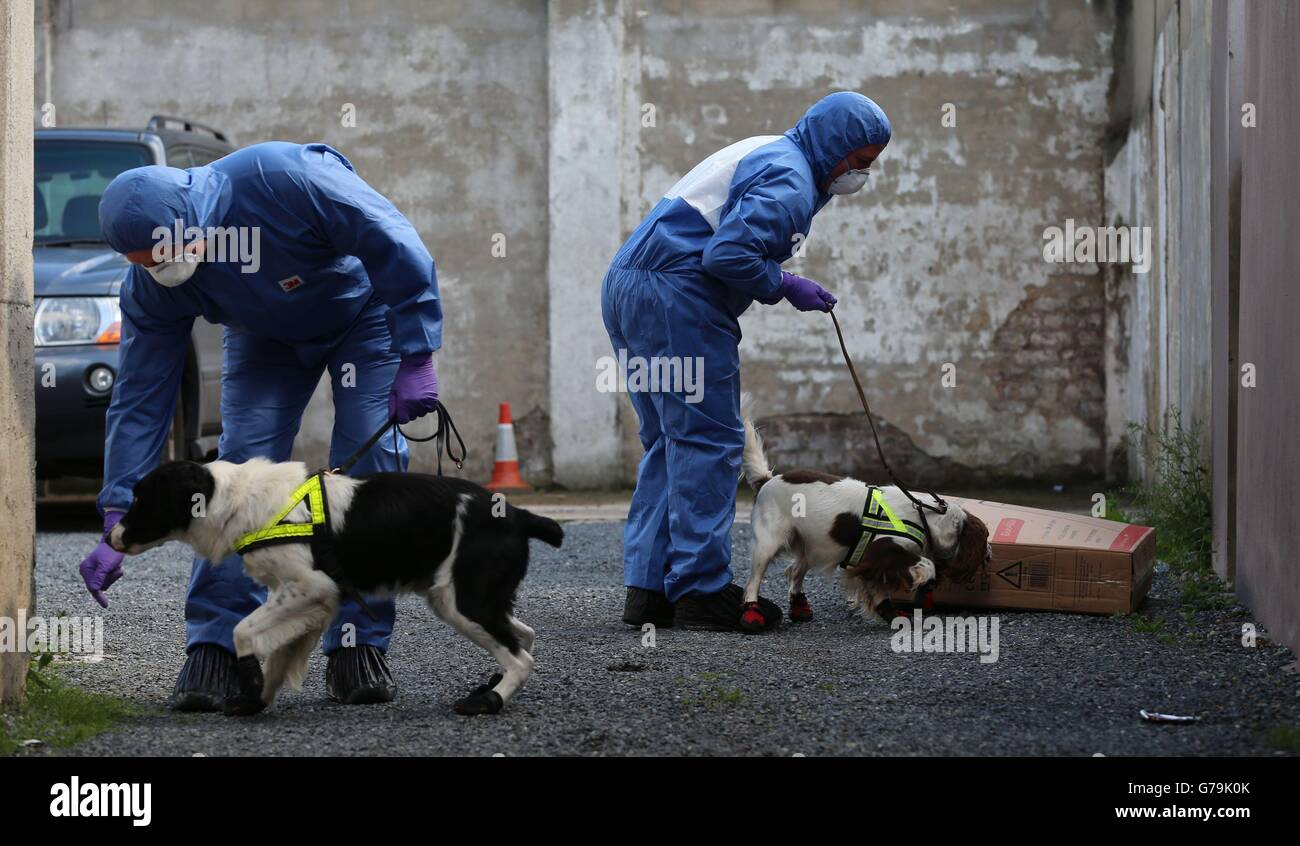Police with victim recovery dogs in Hanover Street, Portadown as ...