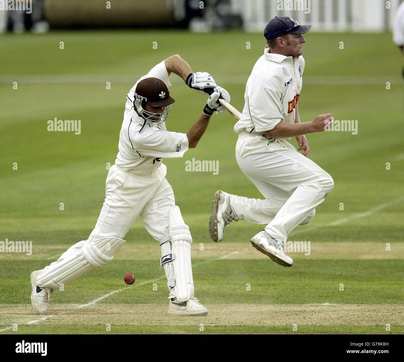 Cricket legs hi-res stock photography and images - Alamy